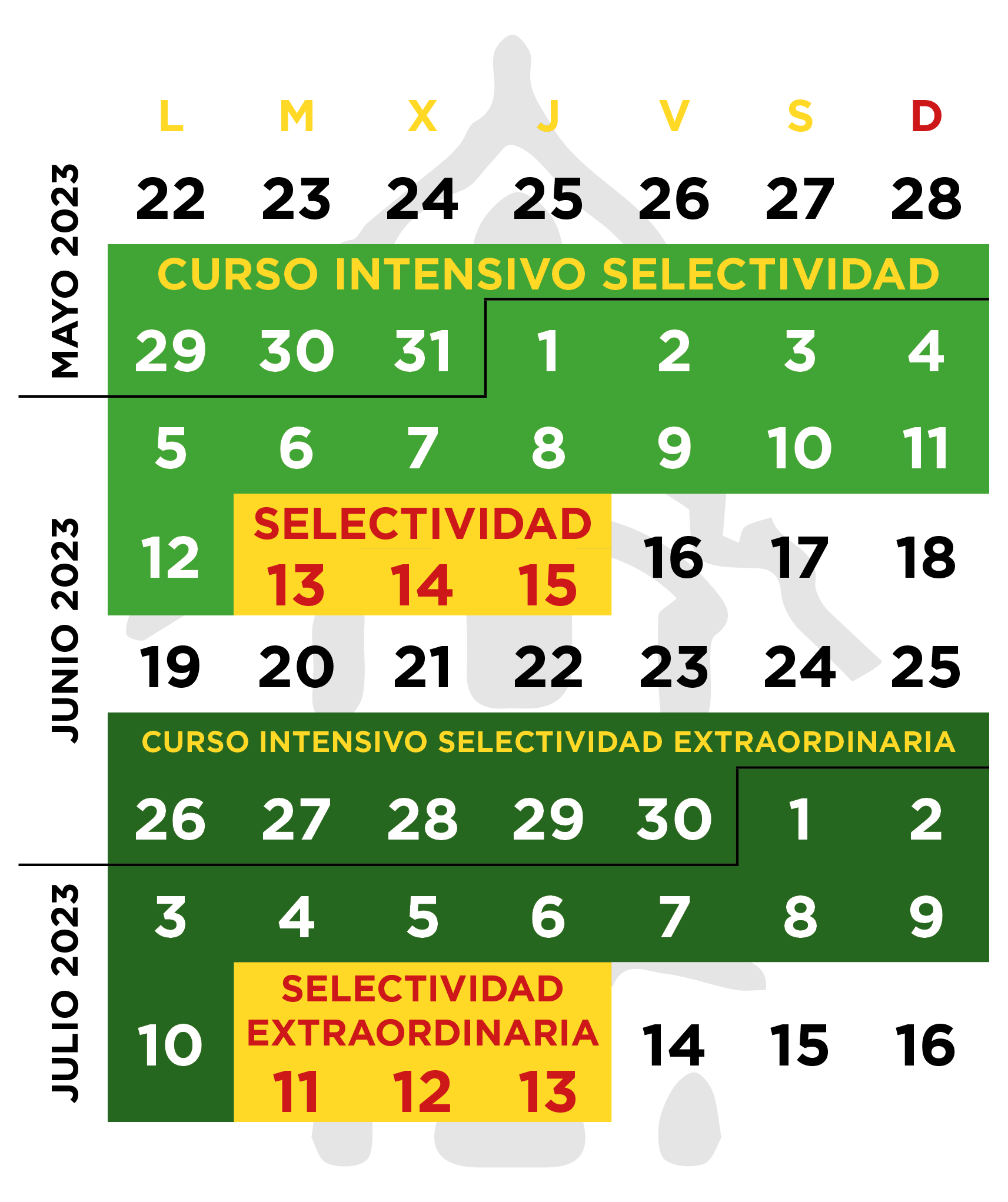 Cómo Registrarse y Matricularse para Selectividad 2023 - Academia Puerta Real